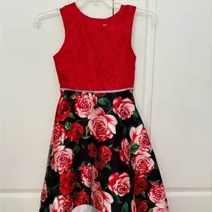 Rare Editions | Dresses | Rare Editions Hilo Red Rose Dress Size 2 ...
